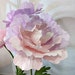 Giant Peony Paper Flower Heads 3pcs Set 60cm Wide Artificial Flowers ...