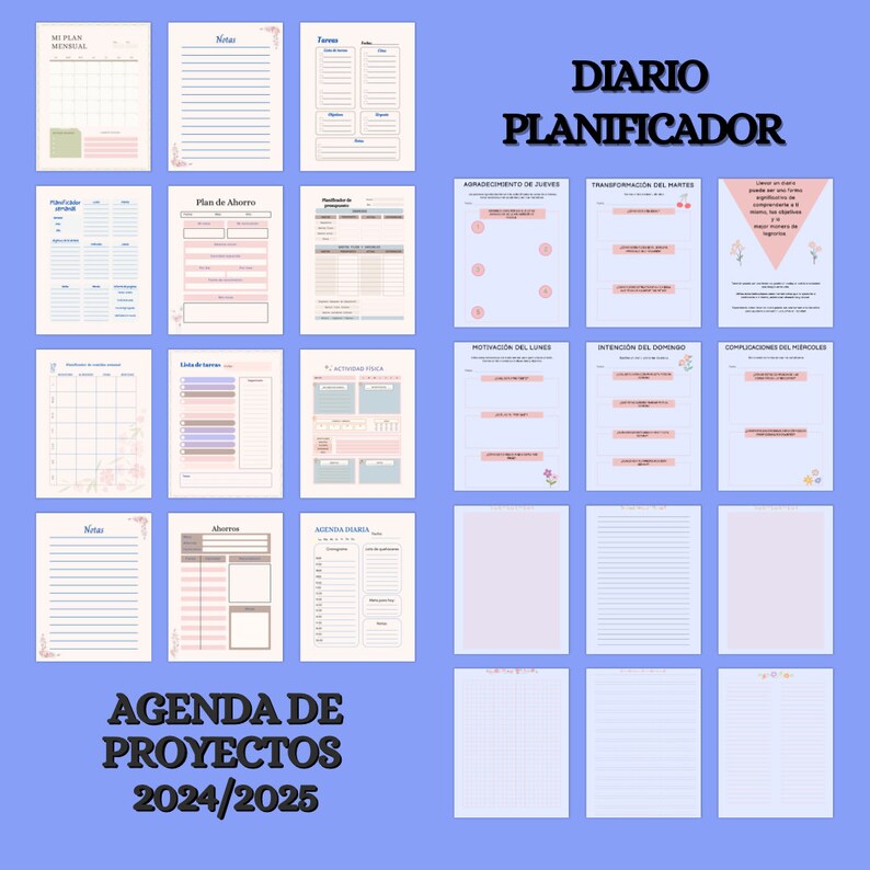 Project Agenda 2024/2025 and Planner Diary. PLR/MRR. - Etsy