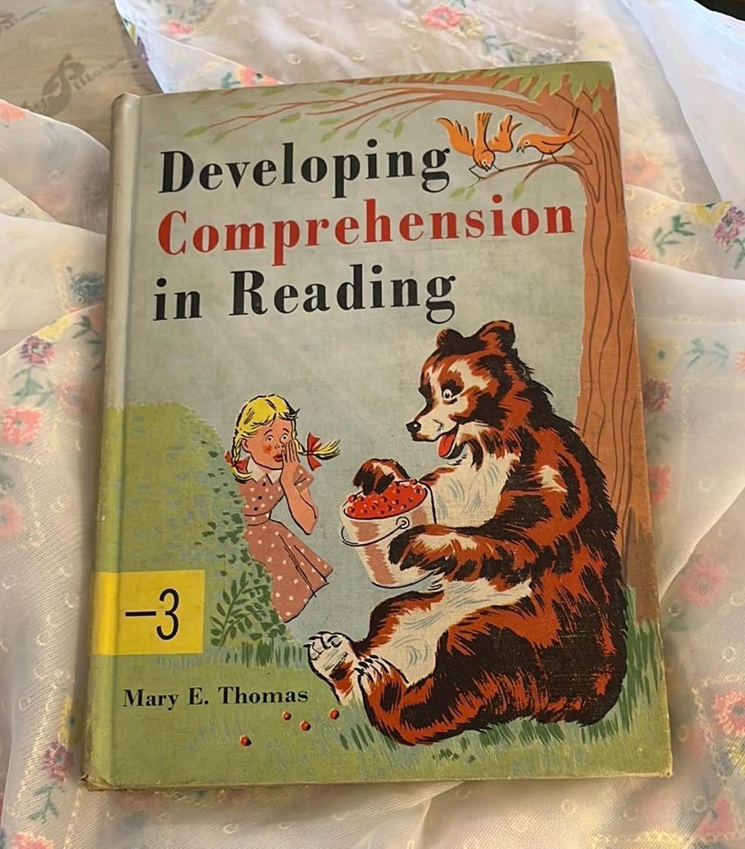 Developing Comprehension in Reading - Etsy