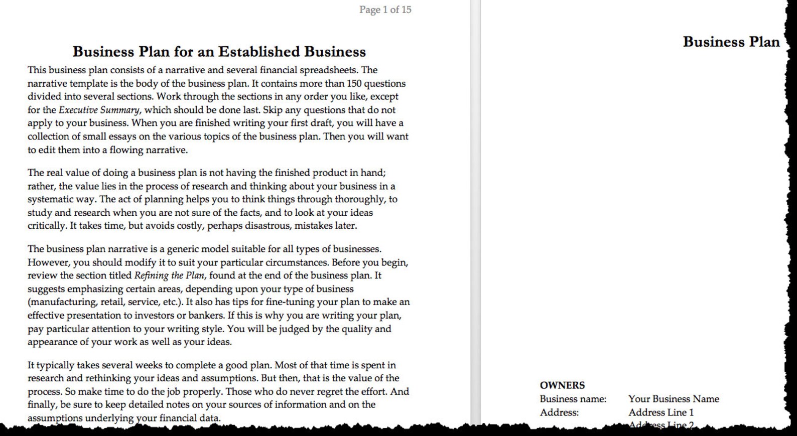 Generic Business Plan Template - Etsy