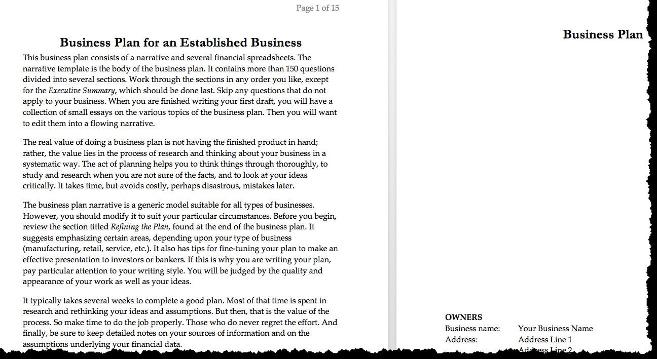 Generic Business Plan Template - Etsy