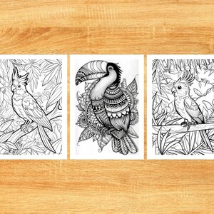 Exotic Birds Coloring Pages - 31 Printable Bird Coloring Pages for Kids ...