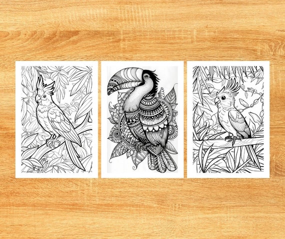Exotic Bird Coloring Page
