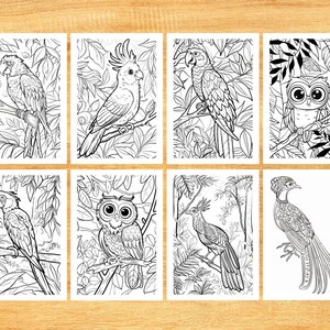 Exotic Birds Coloring Pages - 31 Printable Bird Coloring Pages for Kids ...