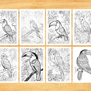 Exotic Birds Coloring Pages - 31 Printable Bird Coloring Pages for Kids ...