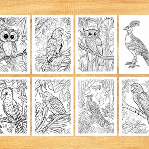 Exotic Birds Coloring Pages - 31 Printable Bird Coloring Pages for Kids ...