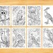 Exotic Birds Coloring Pages - 31 Printable Bird Coloring Pages for Kids ...