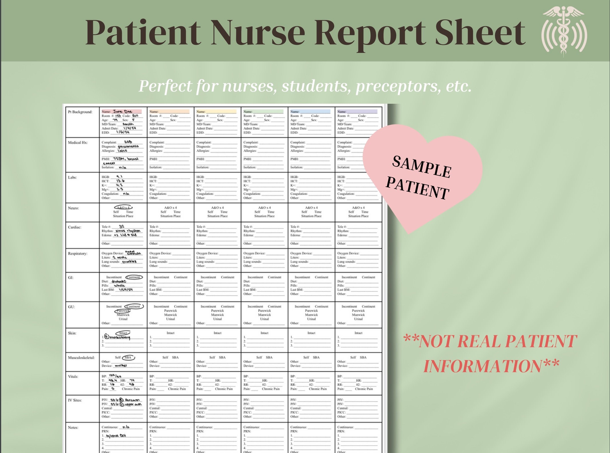 6 Patient Nurse Report/multiple Patient Log/nursing Handoff/medsurg ...