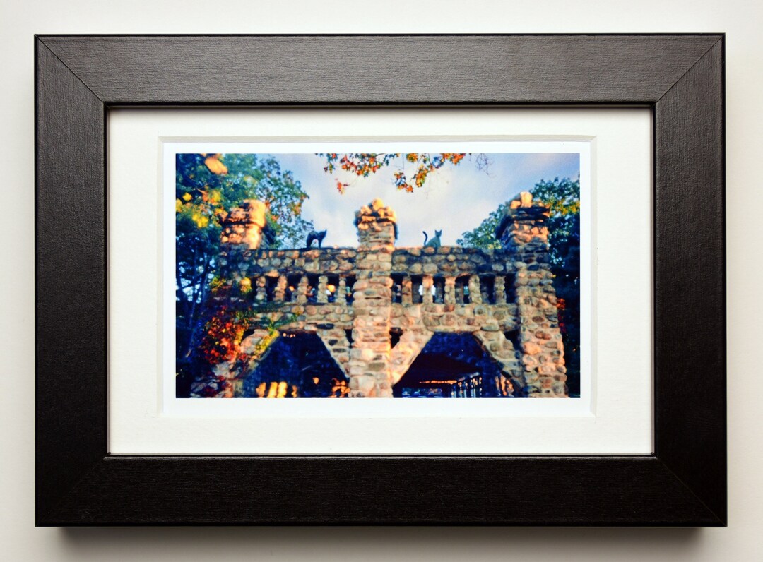 Grand Central Cats Color Pinhole Camera Photograph - Etsy