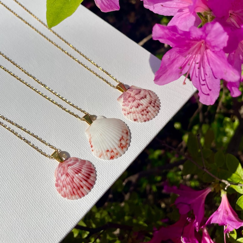 Seashell Necklace - Etsy