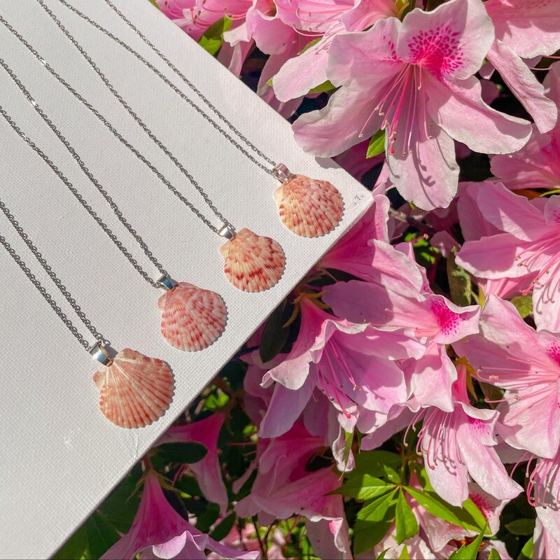 Seashell Jewelry - Etsy