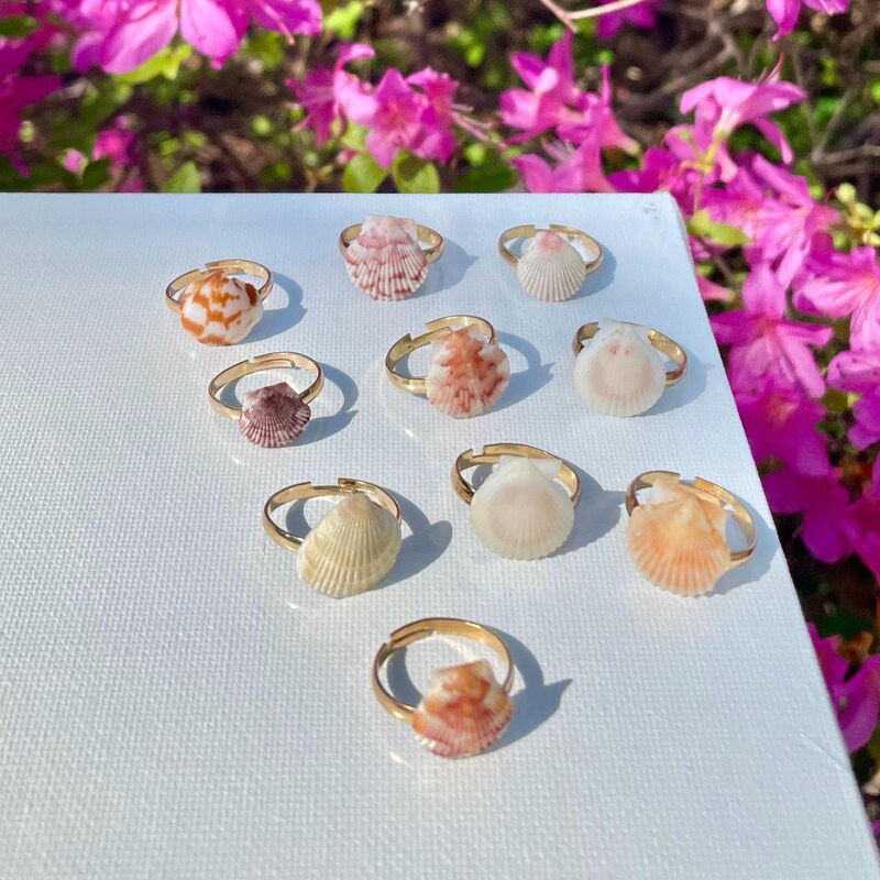 Silver Seashell Ring - Etsy