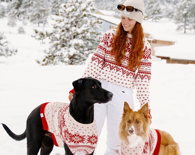Matching Dog Family Christmas Jumper - Etsy