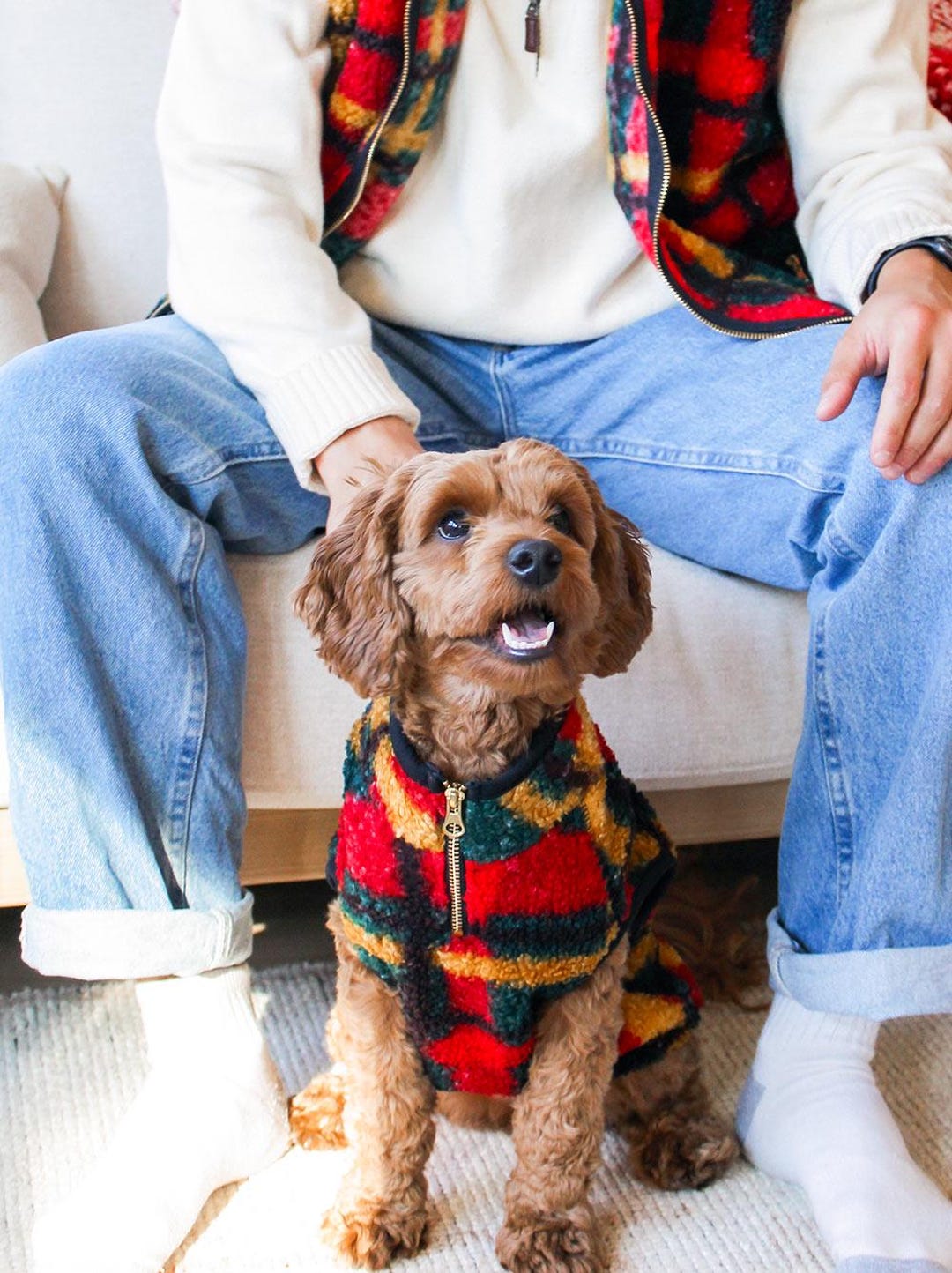 Matching Holiday Sweater Outfits for Dog and Owner Matching Family ...