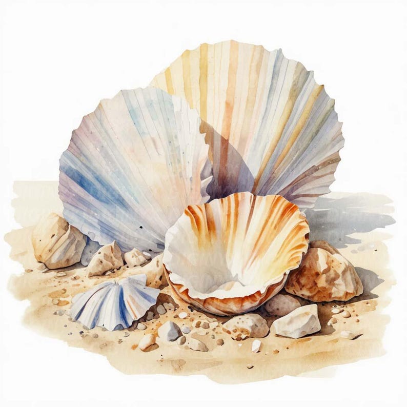 10 Sea Shells Clipart, Seashell Clipart, Printable Watercolor Clipart ...