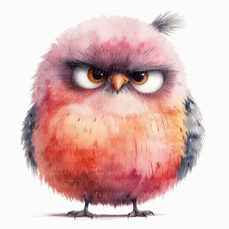 10 Grumpy Birds JPEG Clipart, Adorable and Cute Fluffy Birds, Printable ...