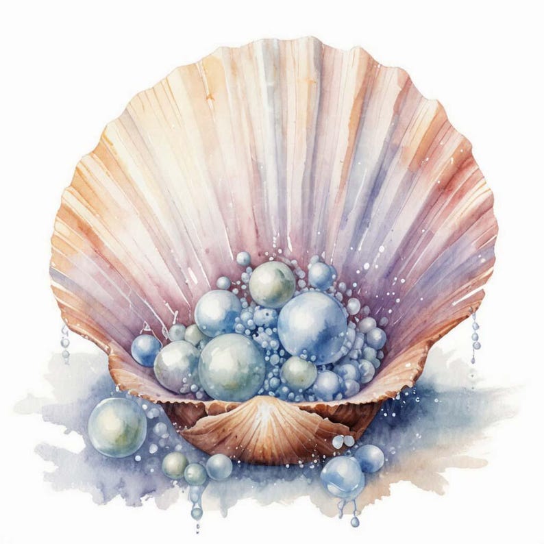 10 Sea Shells Pearls Clipart/seashell Clipart/printable Watercolor ...
