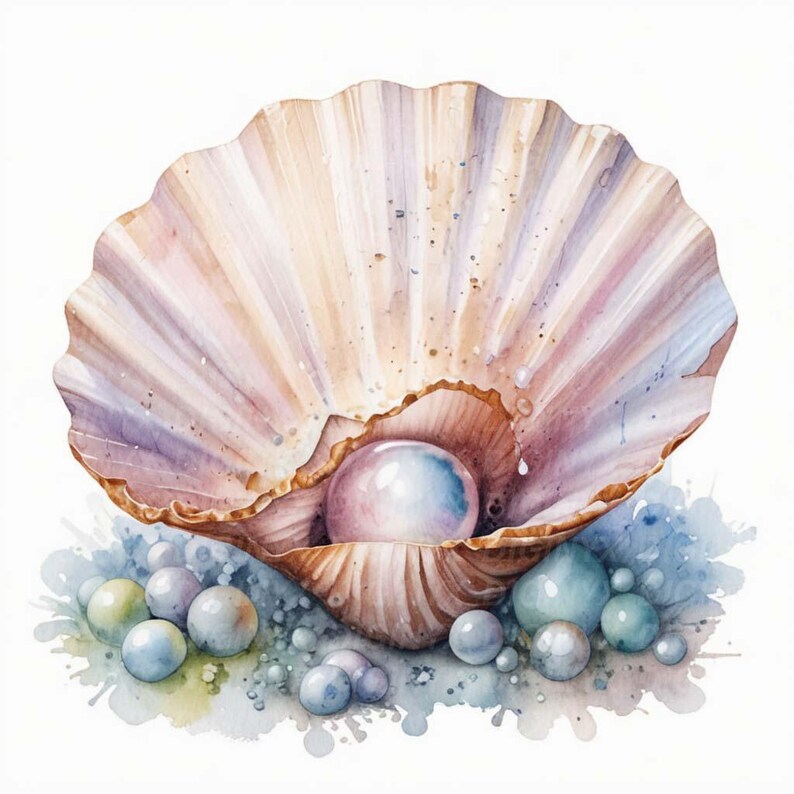 10 Sea Shells Pearls Clipart/seashell Clipart/printable Watercolor ...