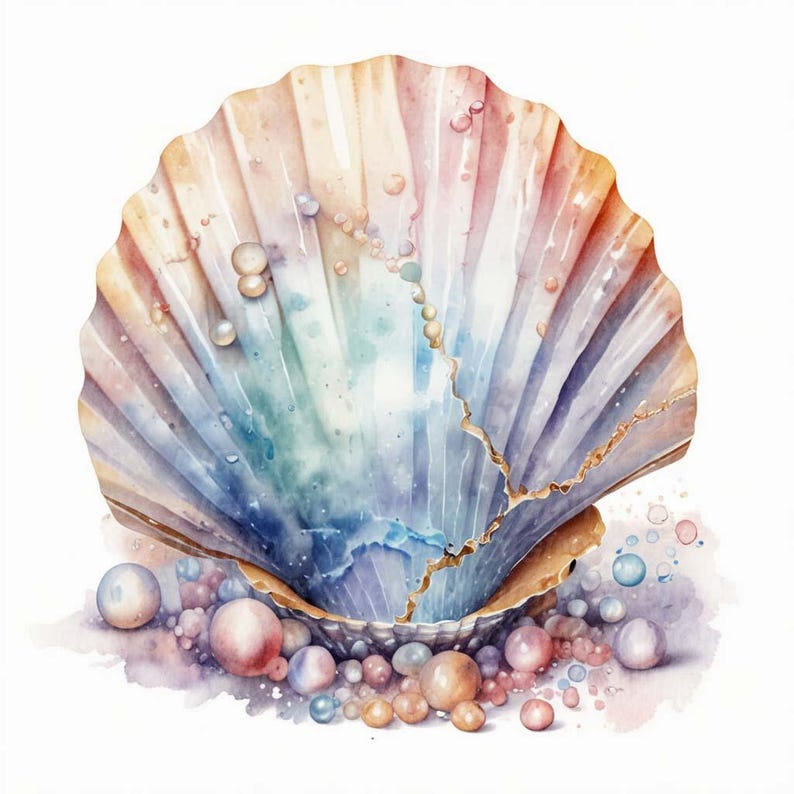10 Sea Shells Pearls Clipart/seashell Clipart/printable Watercolor ...
