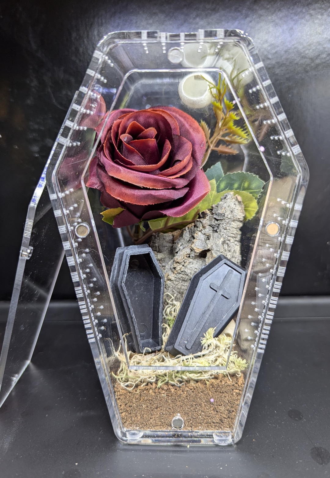 Jumping Spider Coffin Enclosure Large 4x4.5x7 Includes All Decor Gothic ...