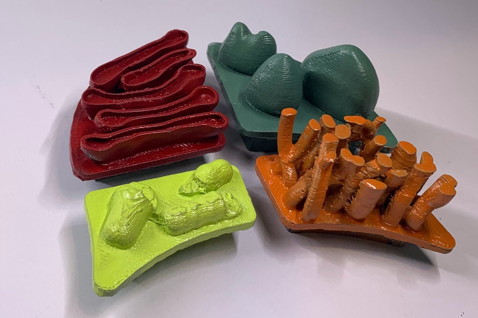 Animal Cell Model Cross Section. STL File, for 3D Printing - Etsy