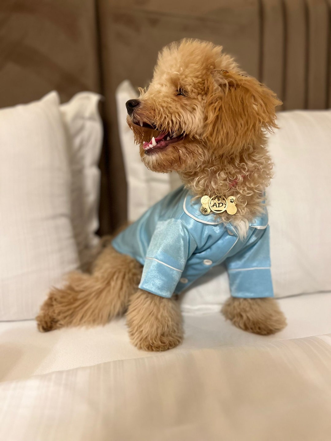 Dog Pyjamas, Blue Pyjamas for Dogs , Satin Pyjamas for Pets - Etsy