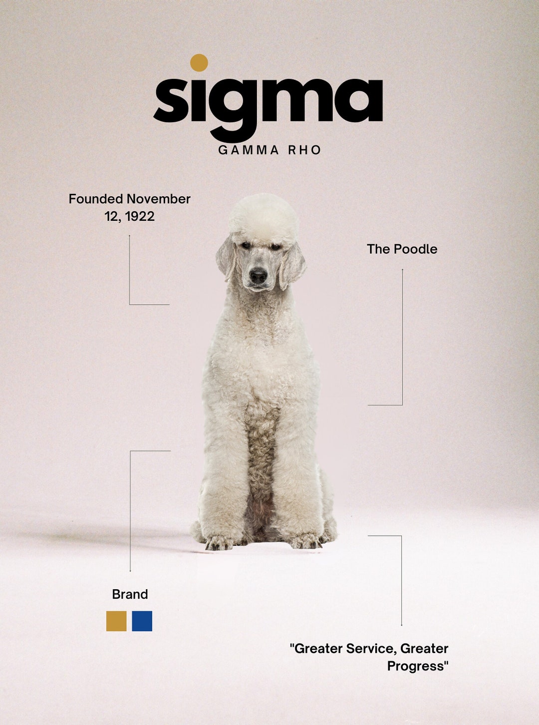 Sigma Gamma Rho Poster - Etsy