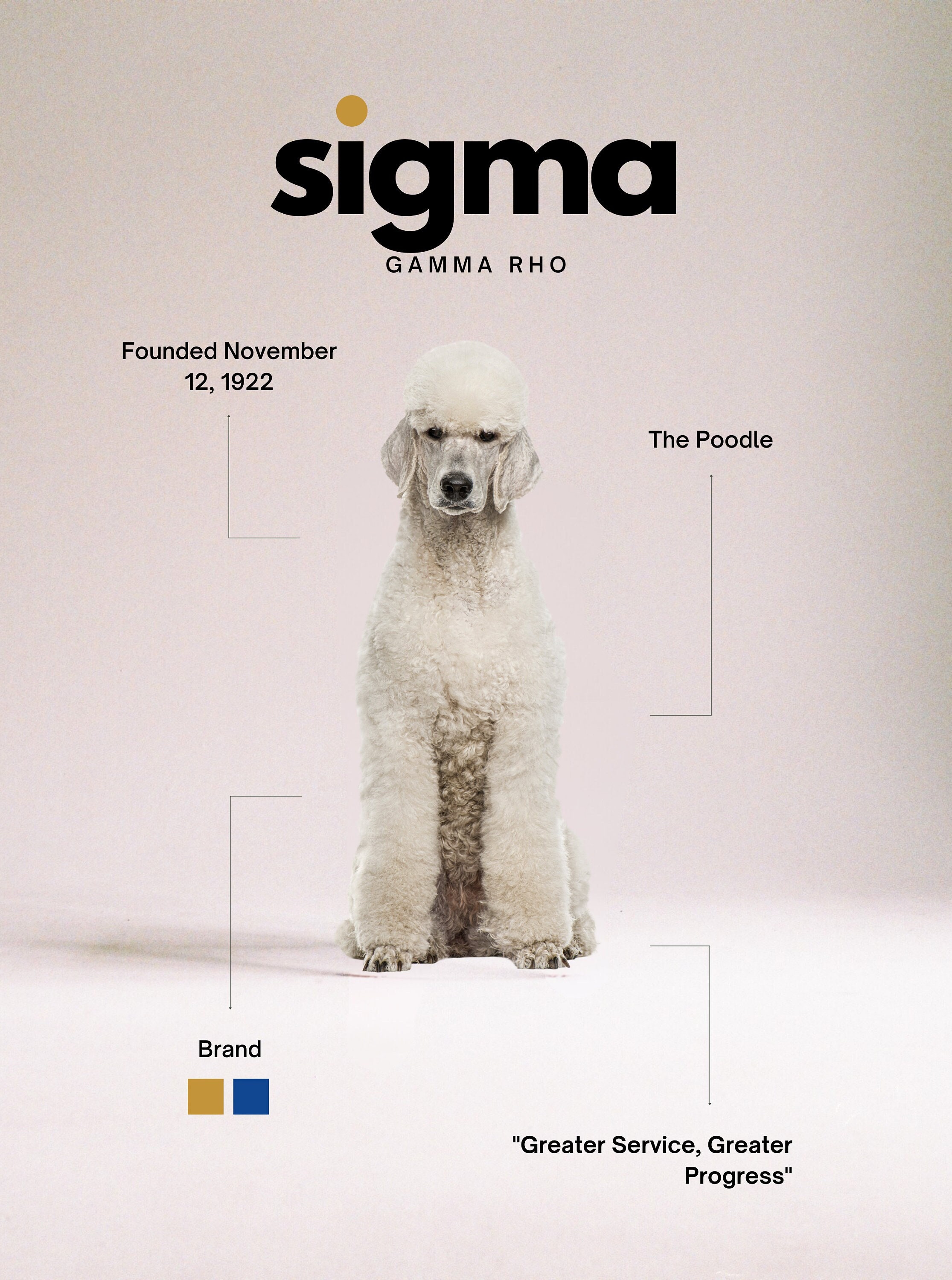 Sigma Gamma Rho Poster - Etsy
