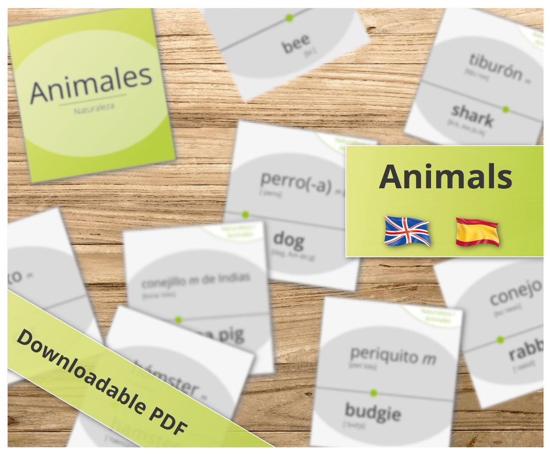 30 Vocabulary Cards ANIMALS Learning Cards Montessori Spanish English ...