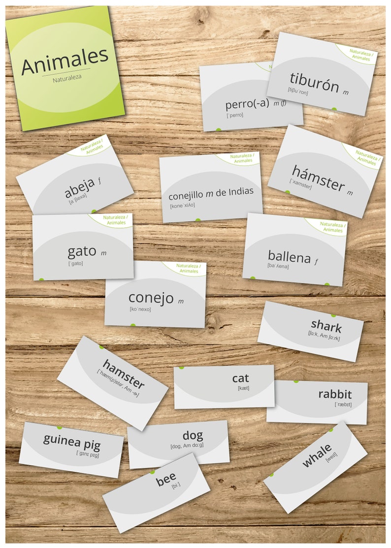 30 Vocabulary Cards ANIMALS Learning Cards Montessori Spanish English ...