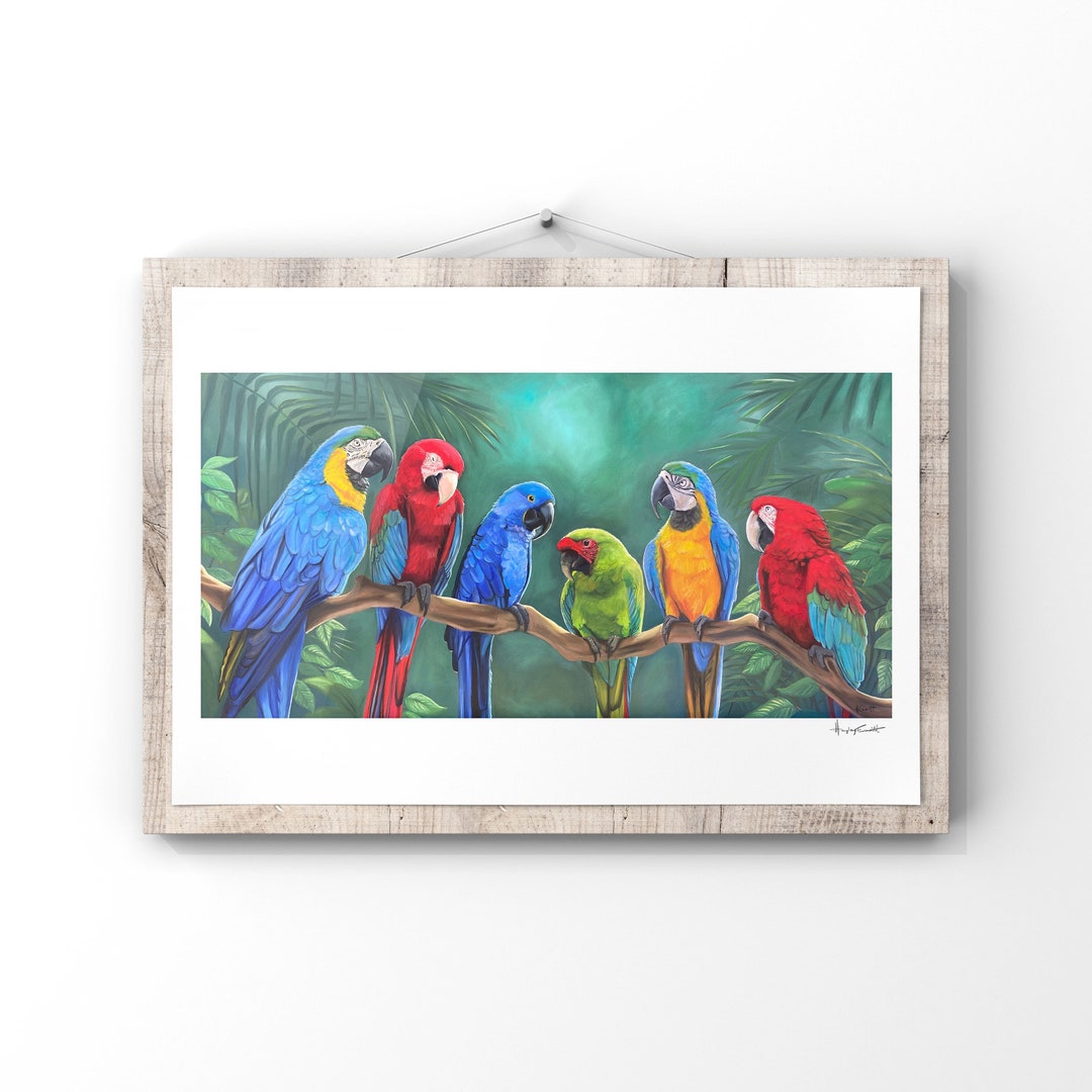 Hayley Everitt Art Print Meeting of the Macaws A5,A4,A3 Sizes Limited Editions Available - Etsy