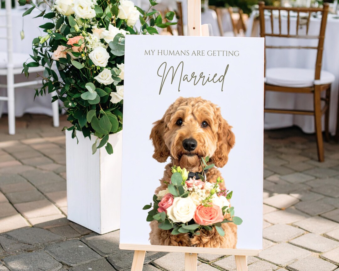 Custom Pet Parents Welcome Sign, Wedding Welcome Sign With Pet Portrait ...