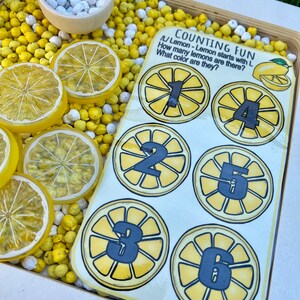 Lemonade Sensory Bin | Lemonade Stand | Kids Birthday Gift | Sensory ...
