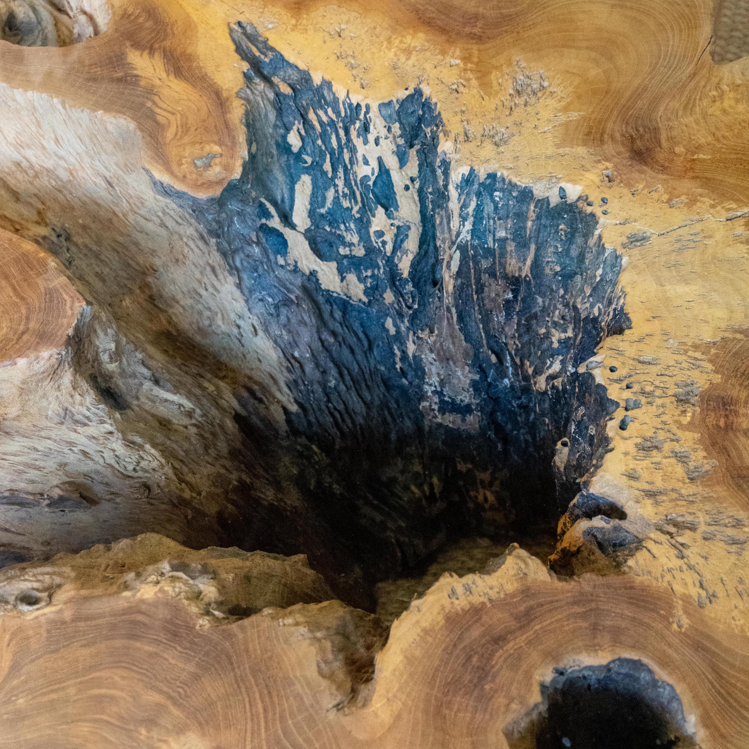 Tree Trunk Coffee Table | Unique Coffee Table - Modern Wood Coffee ...