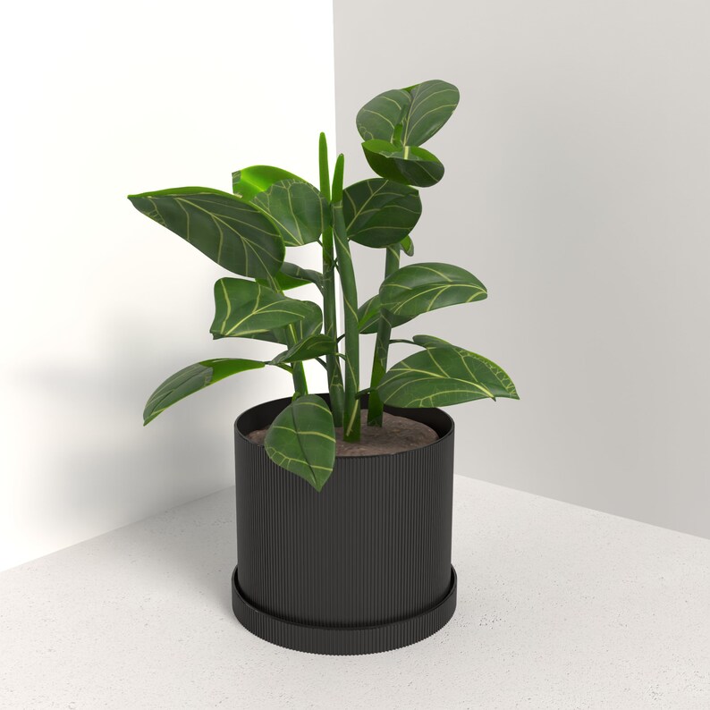 The Buddy Indoor Pot Sleeve With Drip Tray | Textured Houseplant Cover ...