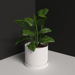 The Buddy Indoor Pot Sleeve With Drip Tray | Textured Houseplant Cover ...