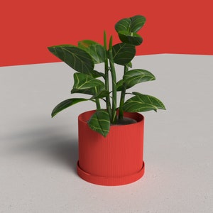 The Buddy Indoor Pot Sleeve With Drip Tray | Textured Houseplant Cover ...