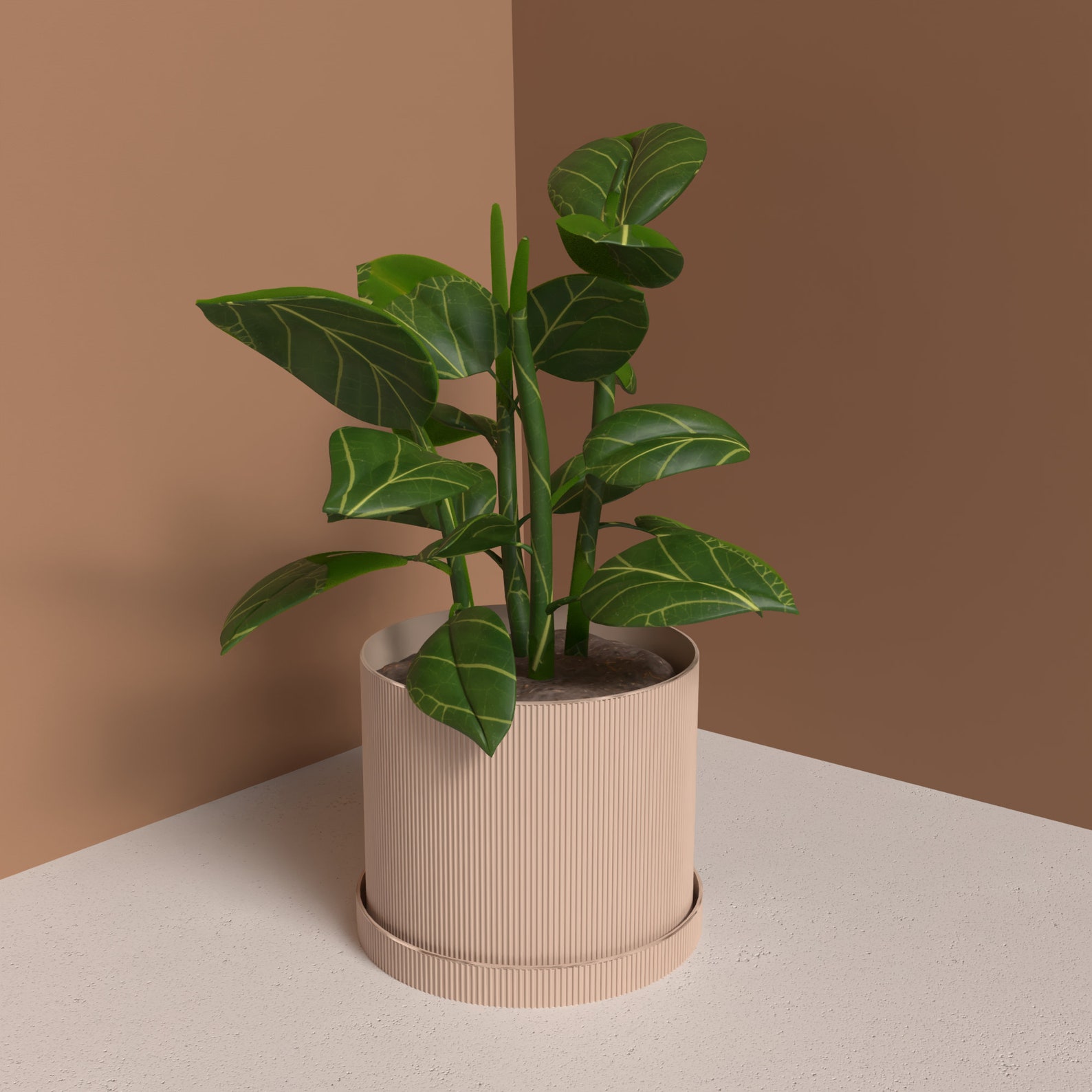 The Buddy Indoor Pot Sleeve With Drip Tray | Textured Houseplant Cover ...