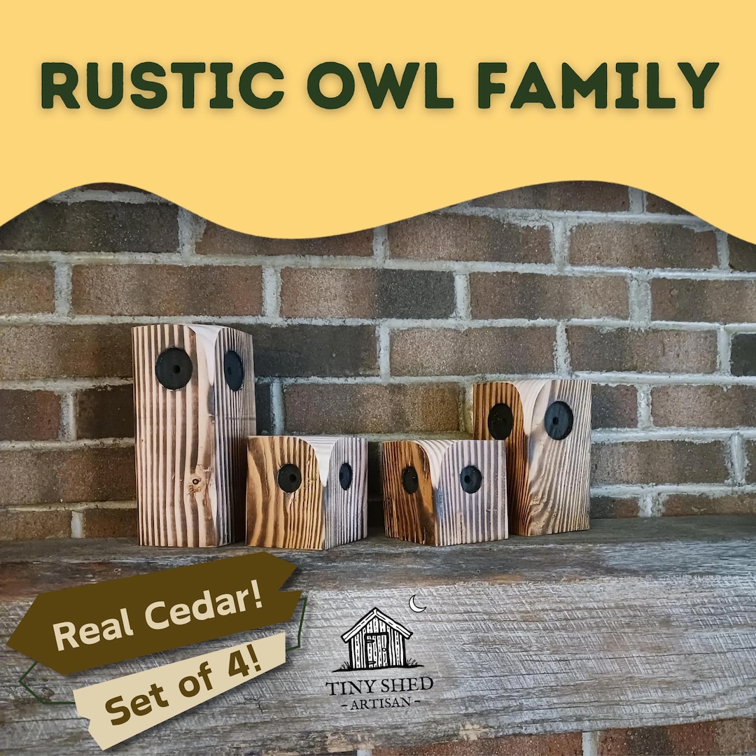 Rustic Cedar Owl Family – Set of 4 Handcrafted Torch-burned Owls - Etsy