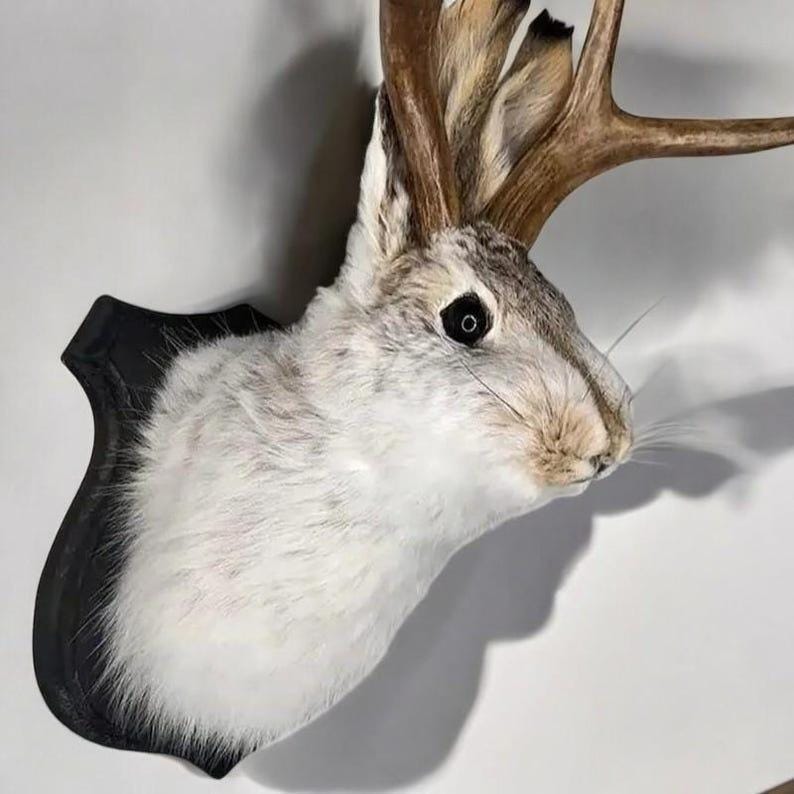 Whimsical Jackalope Wall Mount Decor With Antlers Rabbit Head | Resin ...