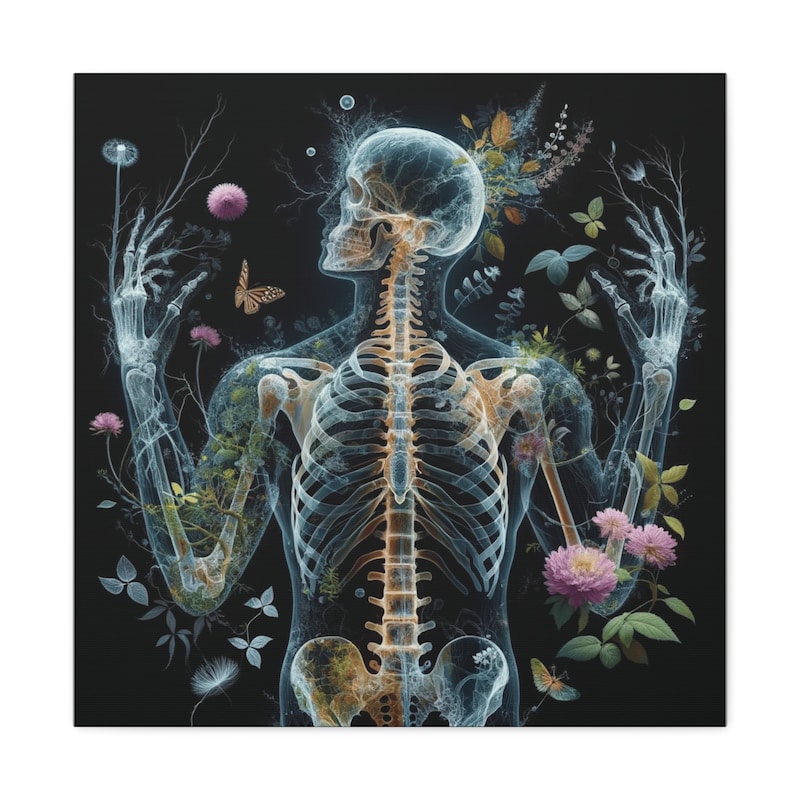 Xray Art - Etsy