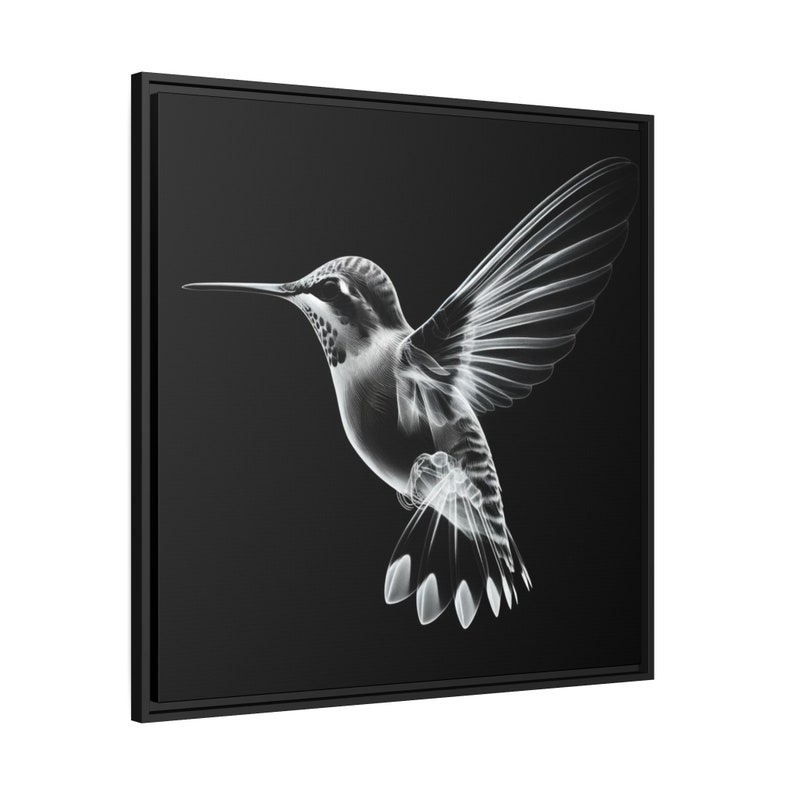 Framed X-ray Art | Hummingbird Wall Art | X-ray Avian Collection ...