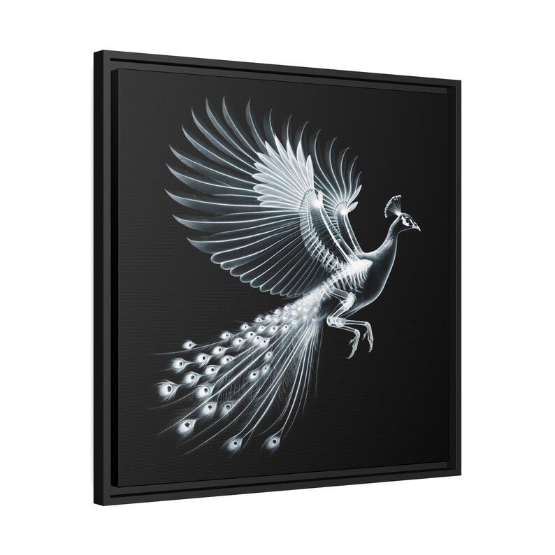 Framed X-ray Art | Peacock Wall Art | X-ray Avian Collection ...