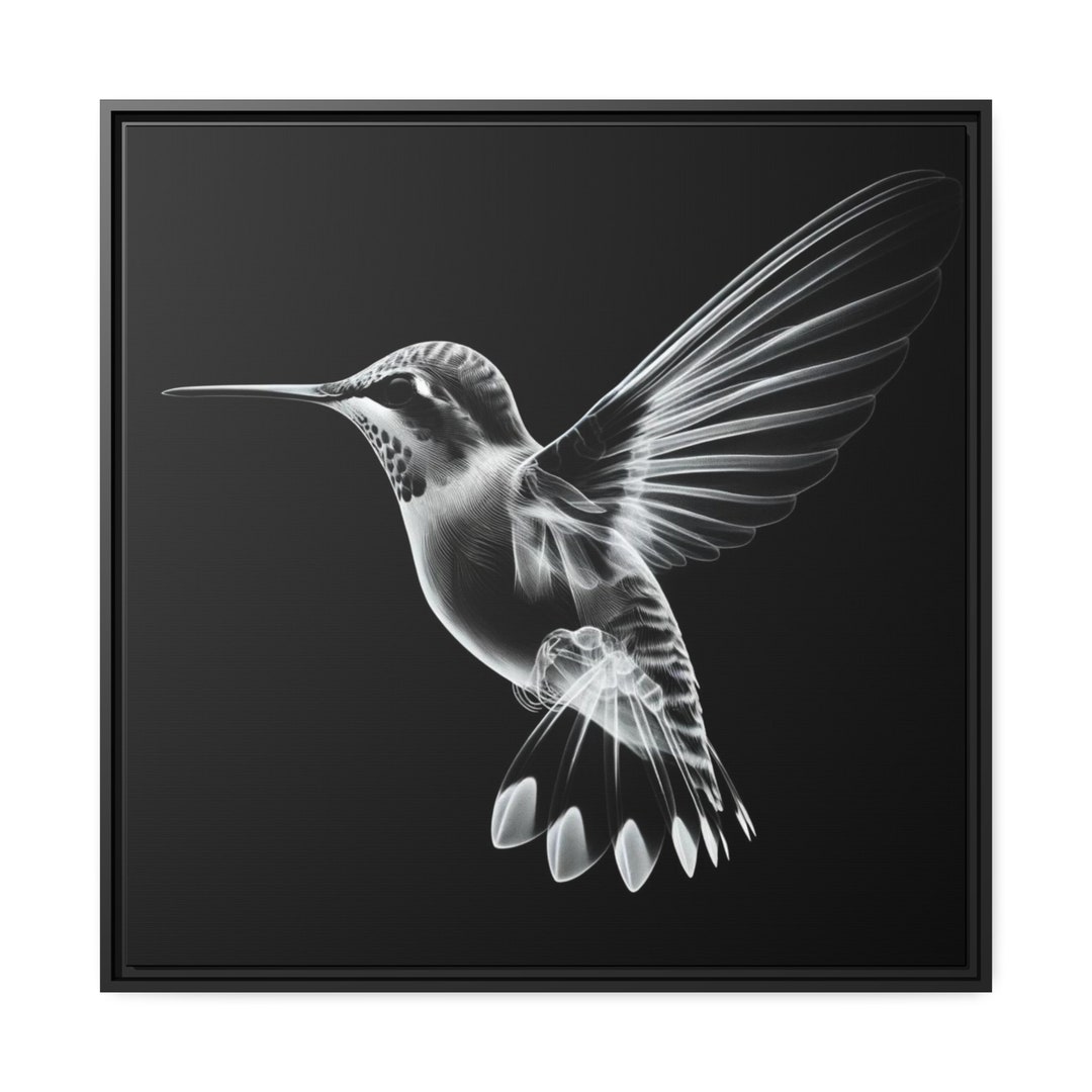 Framed X-ray Art | Hummingbird Wall Art | X-ray Avian Collection ...