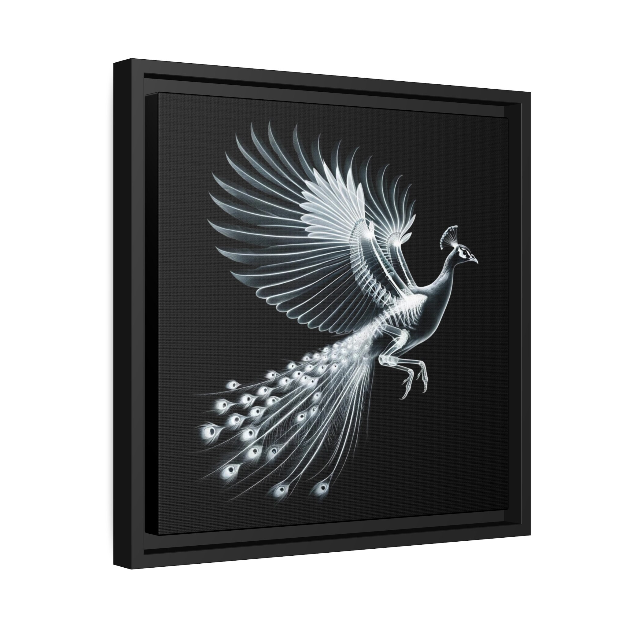 Framed X-ray Art | Peacock Wall Art | X-ray Avian Collection ...