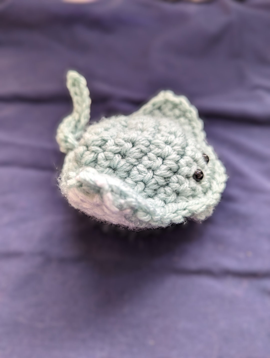 Crochet Ray the Ray - Etsy