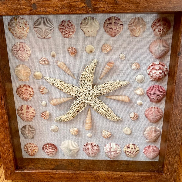 Shell Art Shadow Box - Etsy