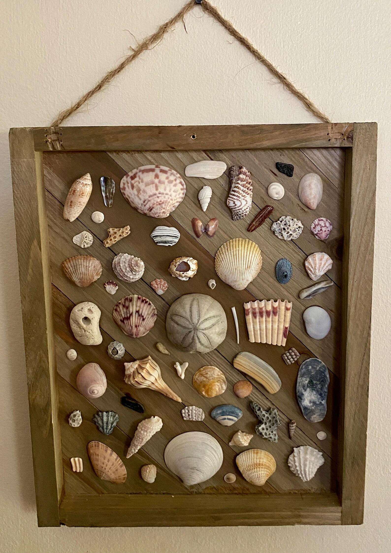 Sea Shell Wall Hanging - Etsy