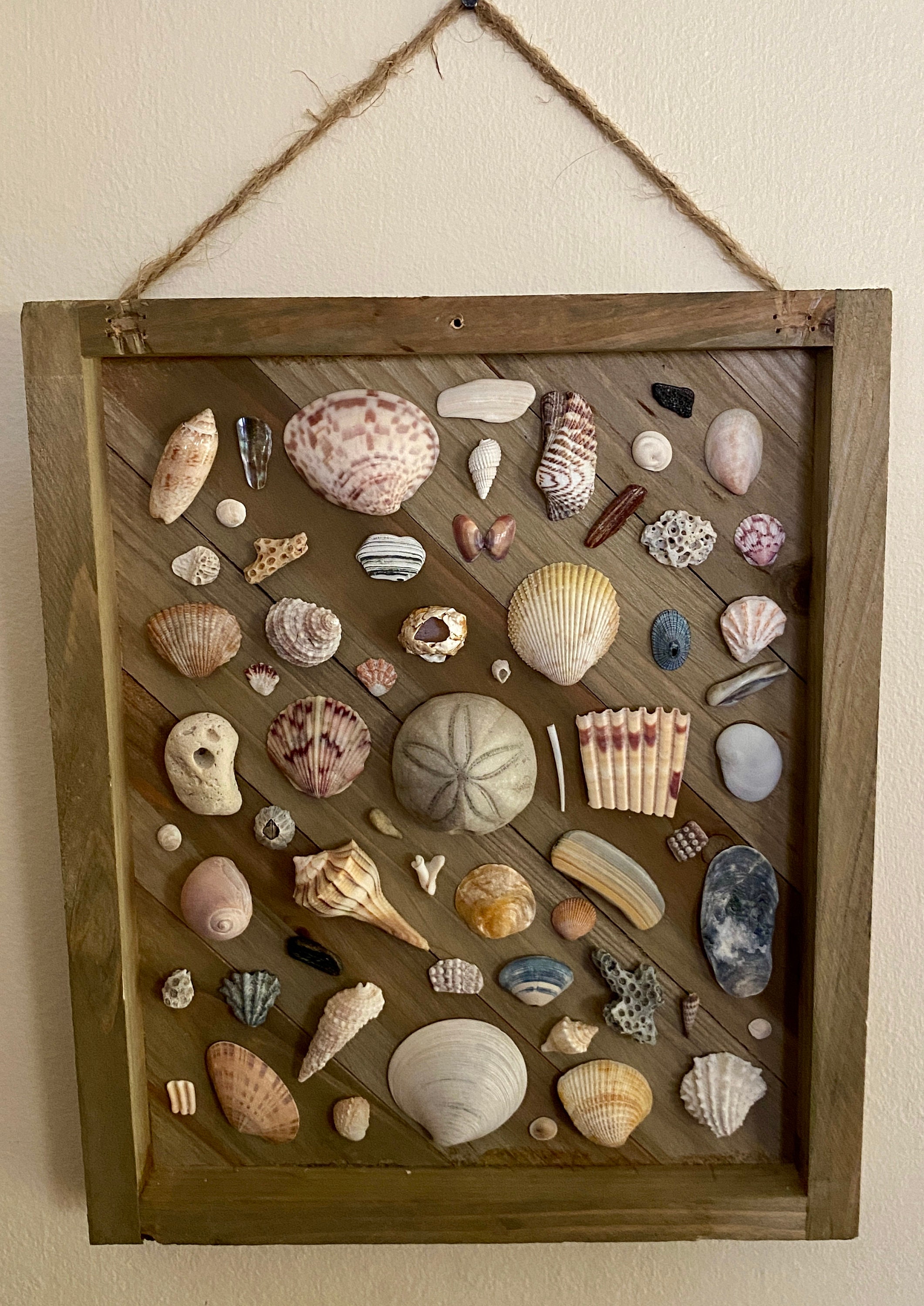 Sea Shell Wall Hanging - Etsy