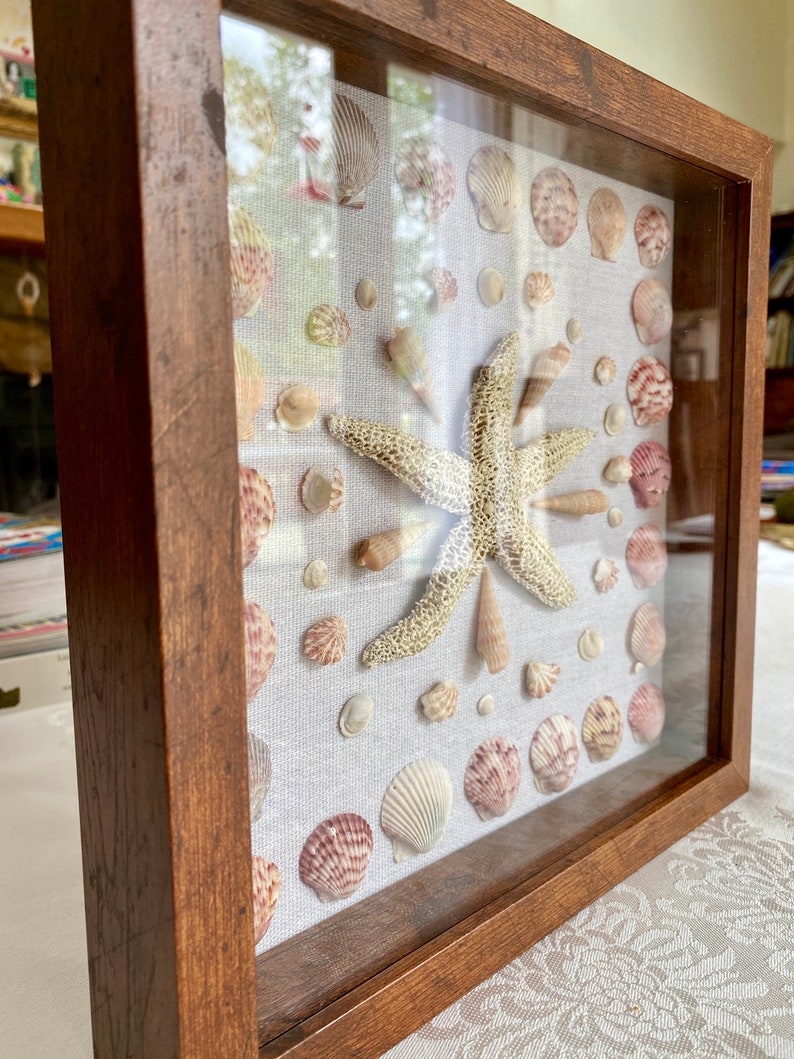Starfish Shadow Box Shell Art - Etsy